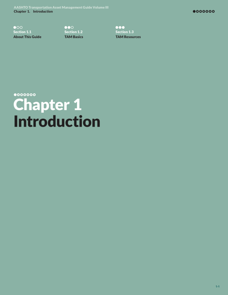 Guide – AASHTO TAM Guide